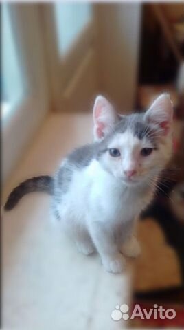 Веселый и ласковый малыш