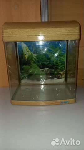 Аквариум + 2-х сторонняя картинка для стены+ грунт