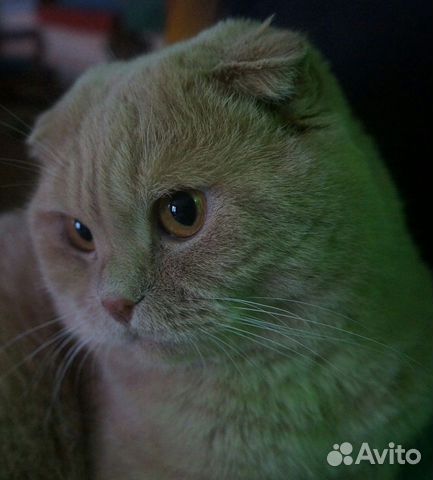 Приглашаем на вязку