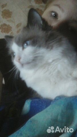 Шикарные весенние малыши