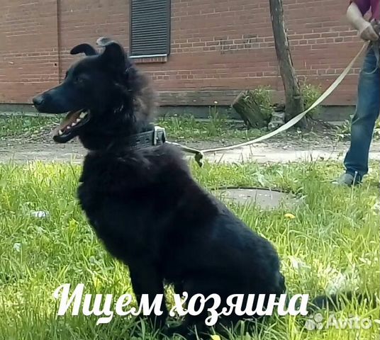 Счастье заказывали Я здесь