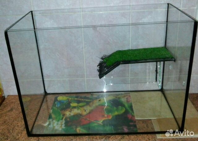 Черепашник