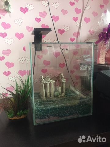 Аквариум на 30 литров Aquael, лампа, пылесос, филь