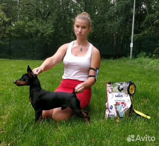 Царь Царей из Дневного Дозора