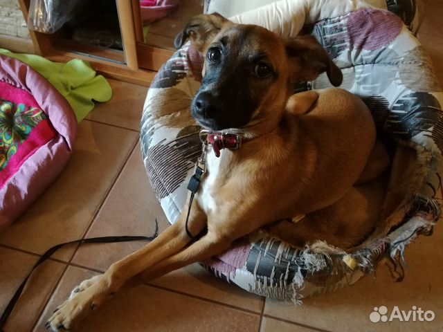 Нежная и задорная Эльза- 11мес