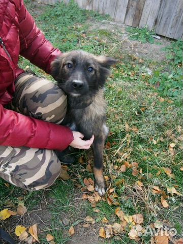 Домовёнок Вам в дом