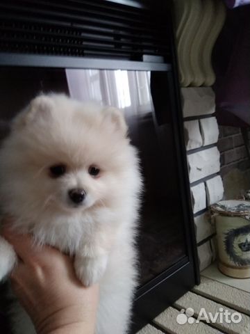 Новогодняя радость в дом