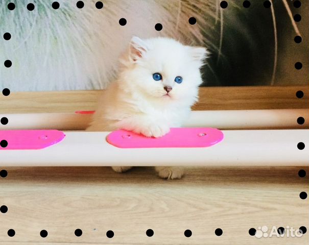 Снежинка и пушинка