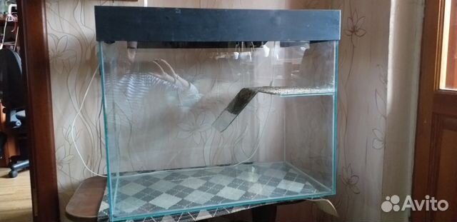 Аквариум-террариум