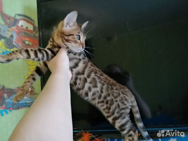 Красивенная дочка