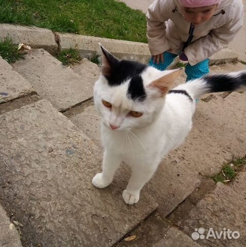 Пятнышко