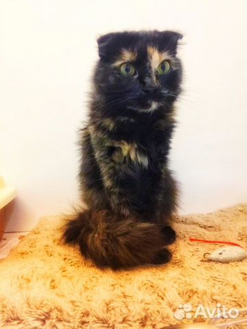 Симона 10 мес