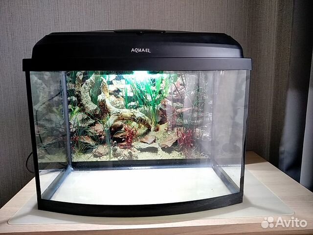 Аквариум + оборудование