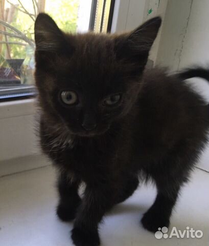 Малышке нужен дом