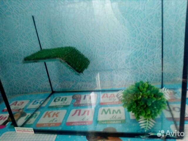 Аквариум на 9л