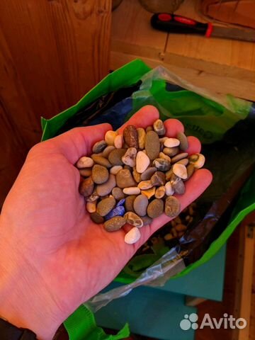 Грунт аквариумный галька речная 11кг