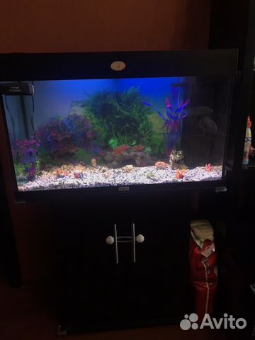 Аквариум 125л
