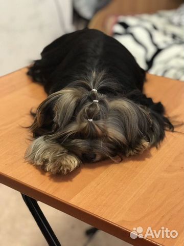 Красивый энергичный мальчик для вязки бебифейс