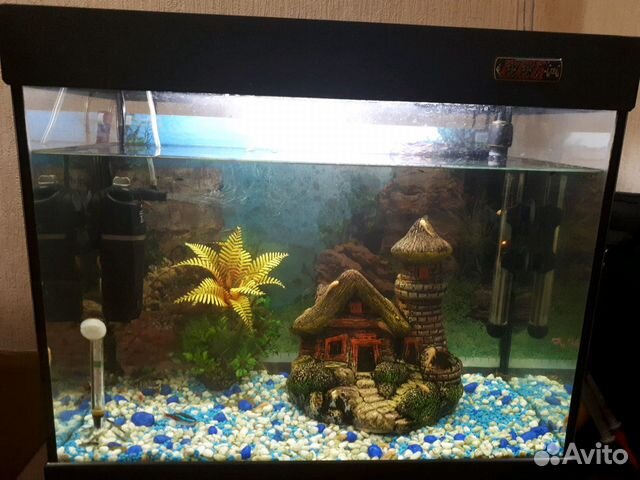 Аквариум на 60л
