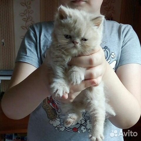 Мальчик экзотик