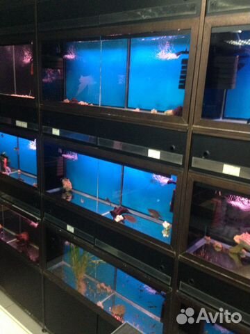 Аквариумная стойка три секции по 6 акв. 90 л