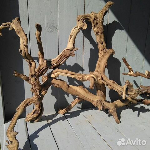 Коряги
