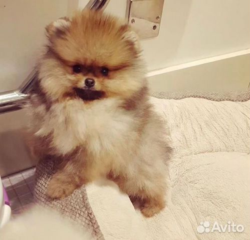 Маленькие антидепрессанты