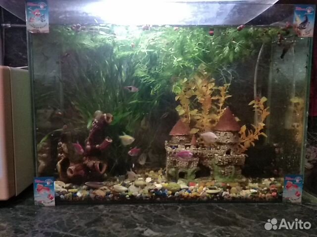 Аквариум 50л