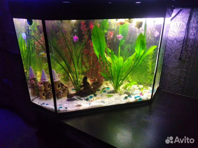 Аквариум 110 литров