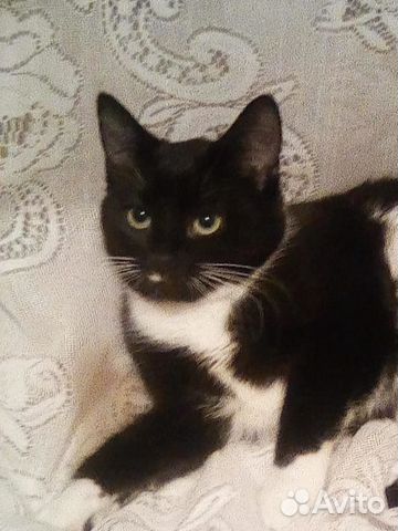 Красавица Маргоша,4 мес