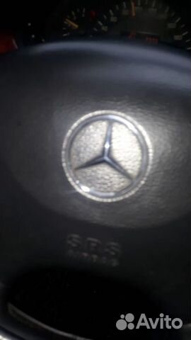 Продам мясо,перья, кожу страусов