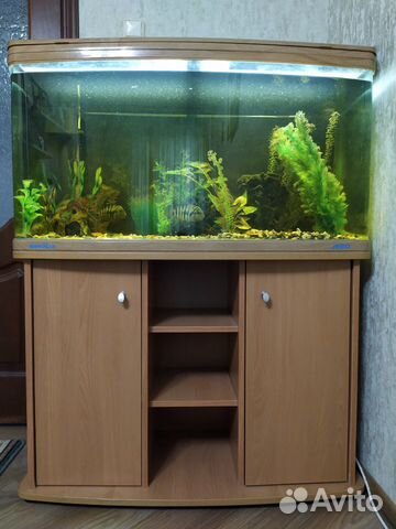 Аквариум jebo R3100 с тумбой 240л