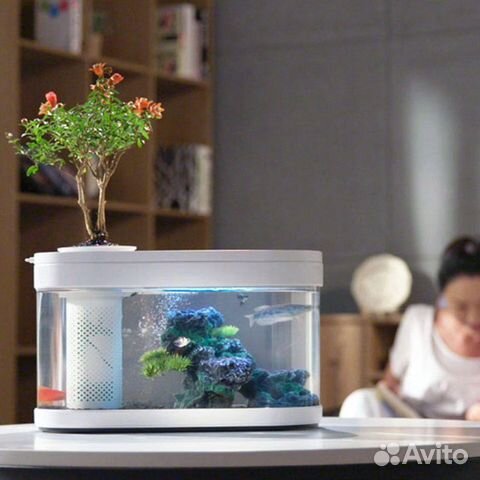 Аквариум xiaomi