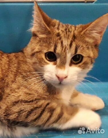 Яркий малыш ждет маму