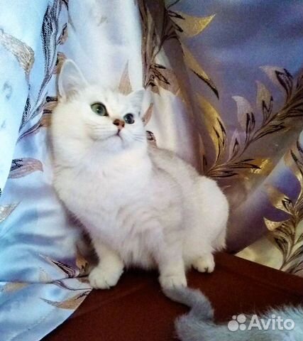 Юляшка-неваляшка, Егоза-очаровашка