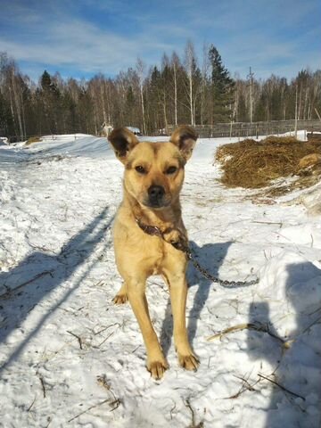 Обаятельный Арчик ждёт своих мам-пап