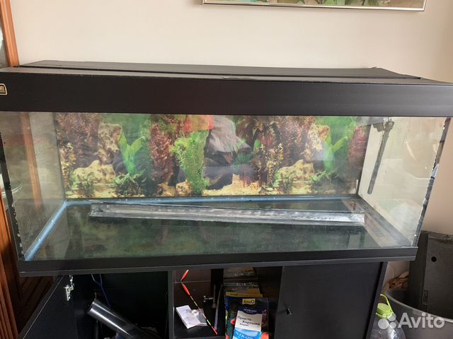 Аквариум Juvel (пр-во Германия) 240 литров +тумба