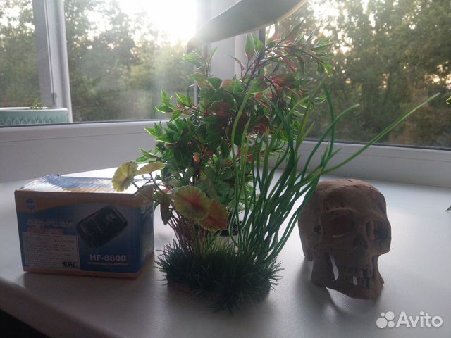 Аксессуары для аквариума,череп,помпа,трава