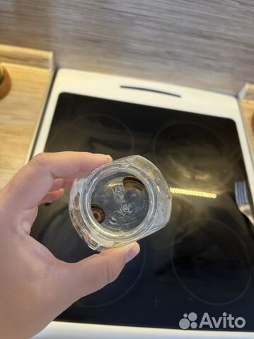 Улитки маризы 2 шт