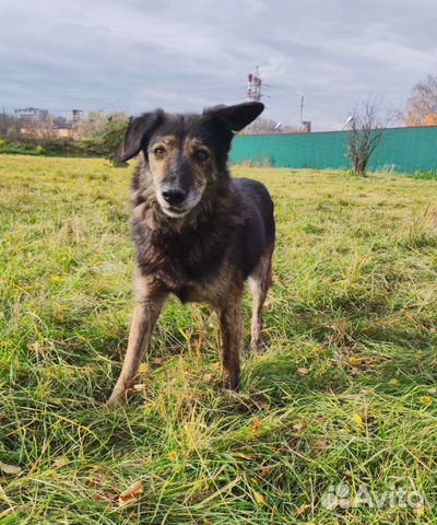 Мама, спаси меня