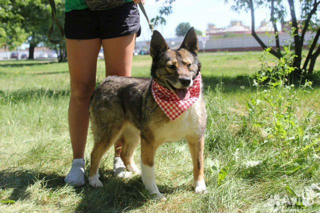Чудо девочка Тома хочет домой