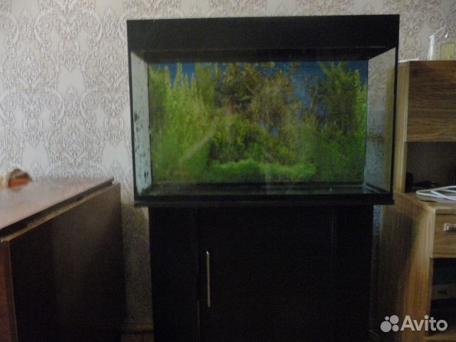 Аквариум с тумбой бу 110 литров
