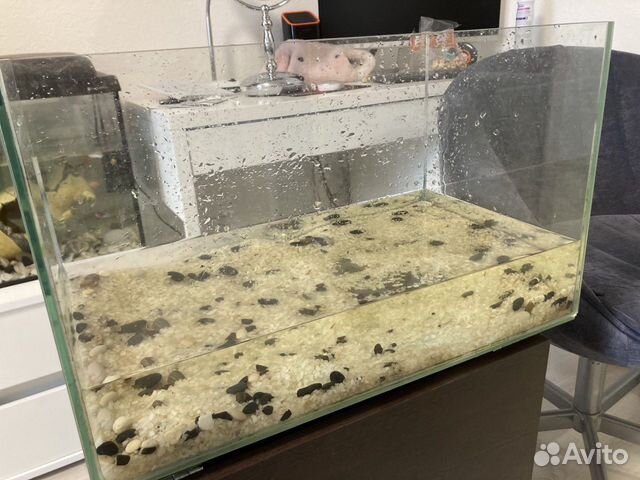 Аквариум 50 литров плюс грунт