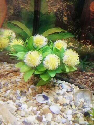 Аквариумное растение искусственное