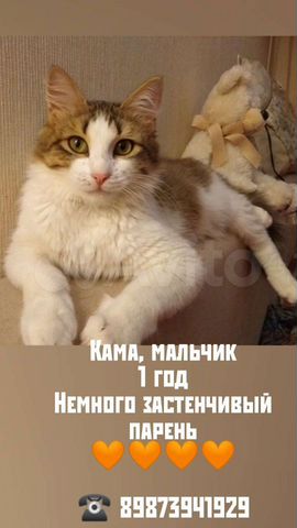 Котик Кама, 1 год
